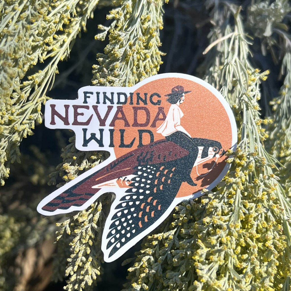 Finding Nevada Wild - Finding Nevada Wild
