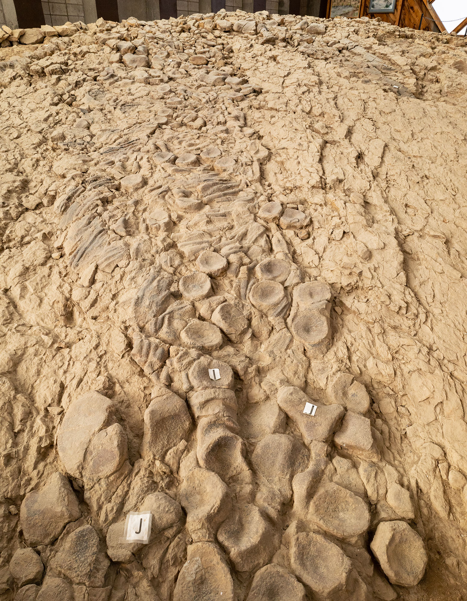 Nevada National Natural Landmarks | Finding Nevada Wild