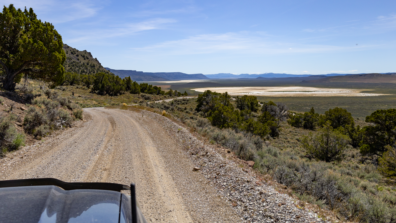 Virgin Valley NV | Black Fire Opal | Roebling | Josie Pearl