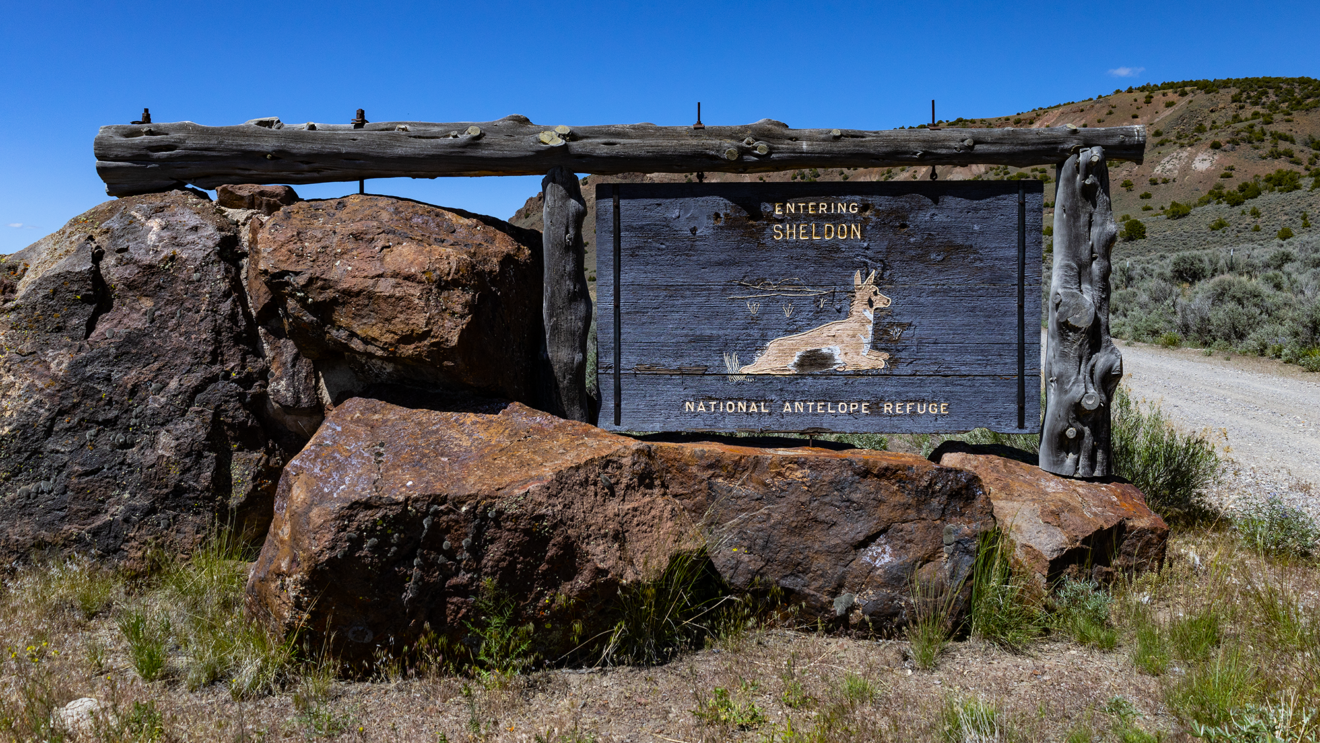 Virgin Valley NV | Black Fire Opal | Roebling | Josie Pearl