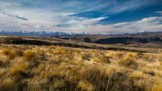 Claude Dallas | Paradise Valley, NV | Nevada Poacher