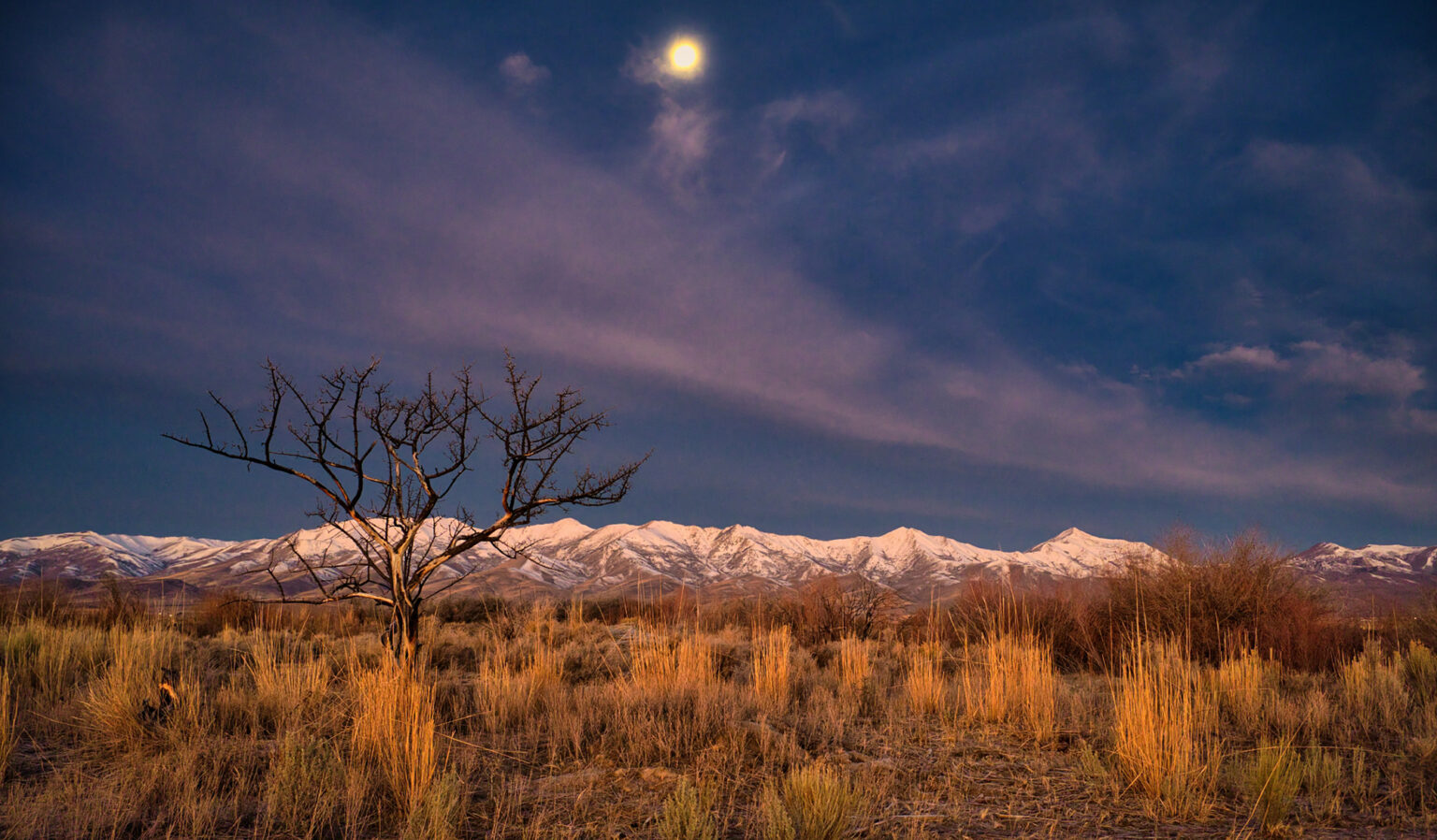 Claude Dallas | Paradise Valley, NV | Nevada Poacher