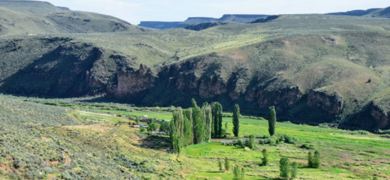 Claude Dallas | Paradise Valley, NV | Nevada Poacher
