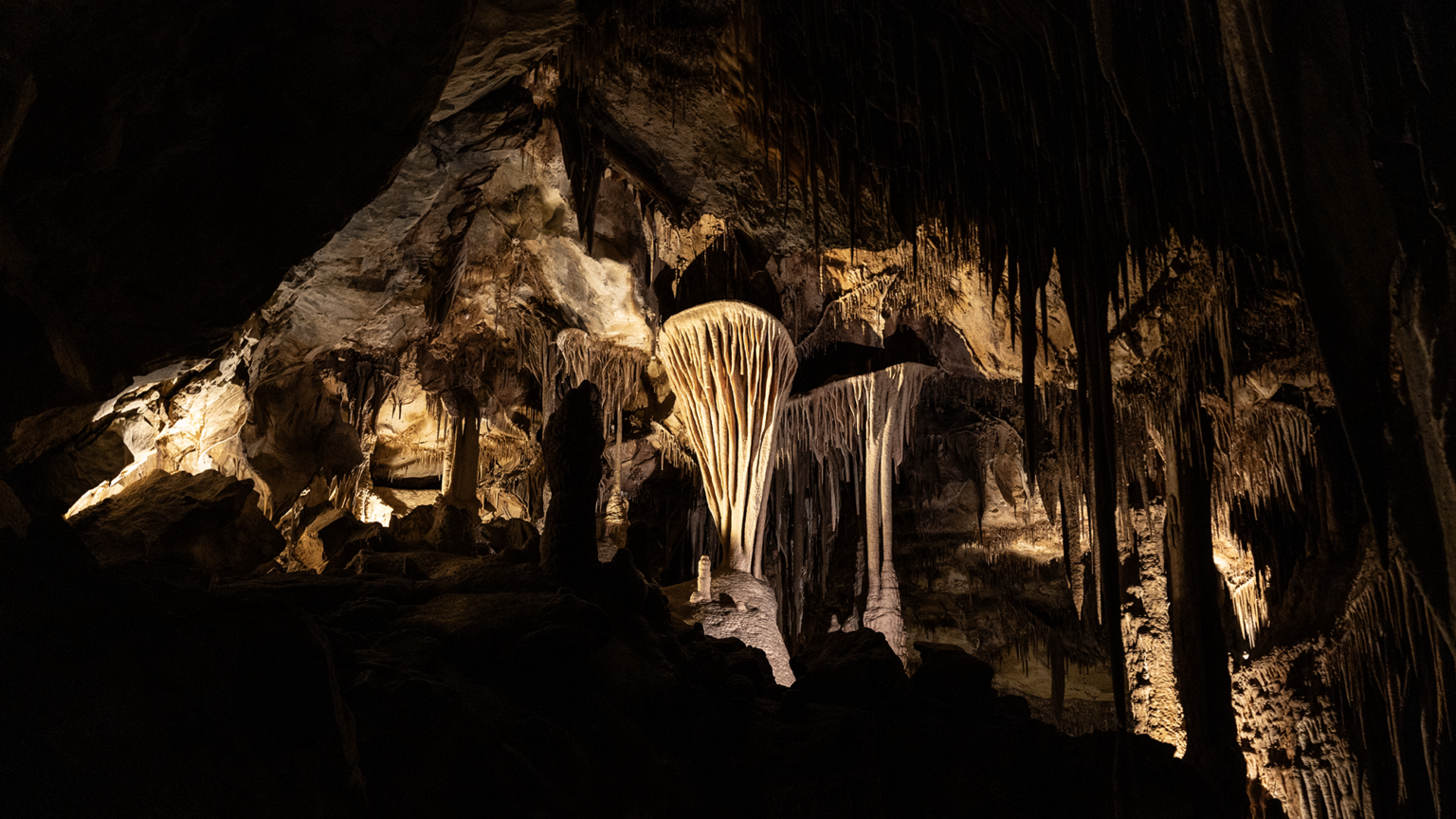 Nevada Caves | Ely Cave Bear | Giant Short-Faced Cave Bears