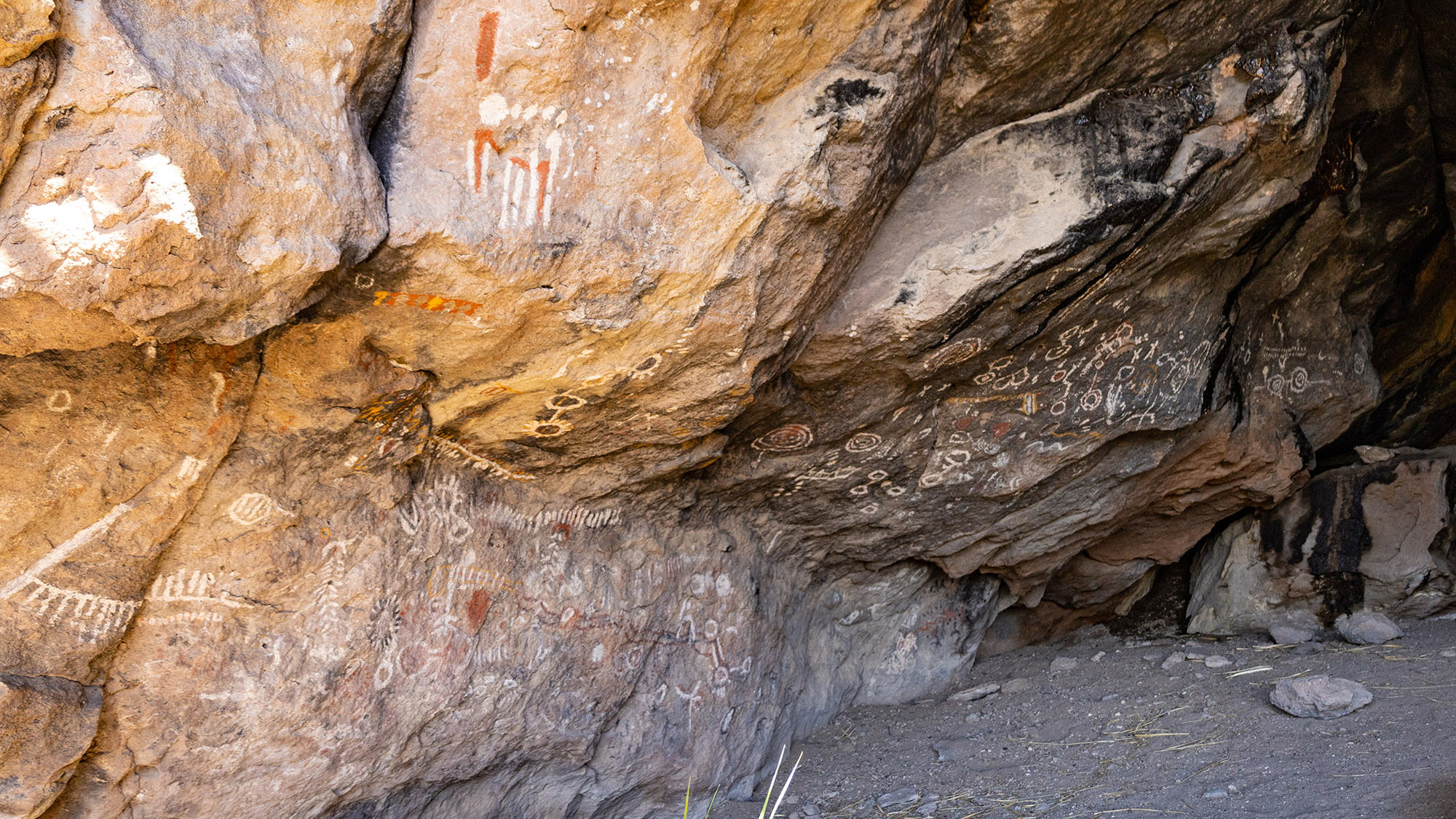 Nevada Caves | Ely Cave Bear | Giant Short-Faced Cave Bears